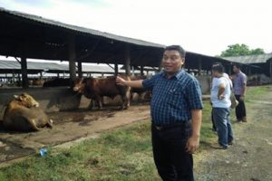 Pentingnya Peran Teknologi Digital dalam Peternakan Masa Kini - Ternak Duit