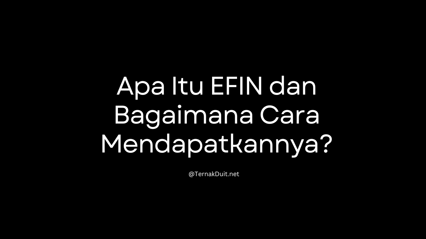 Apa Itu EFIN dan Bagaimana Cara Mendapatkannya? - Ternak Duit